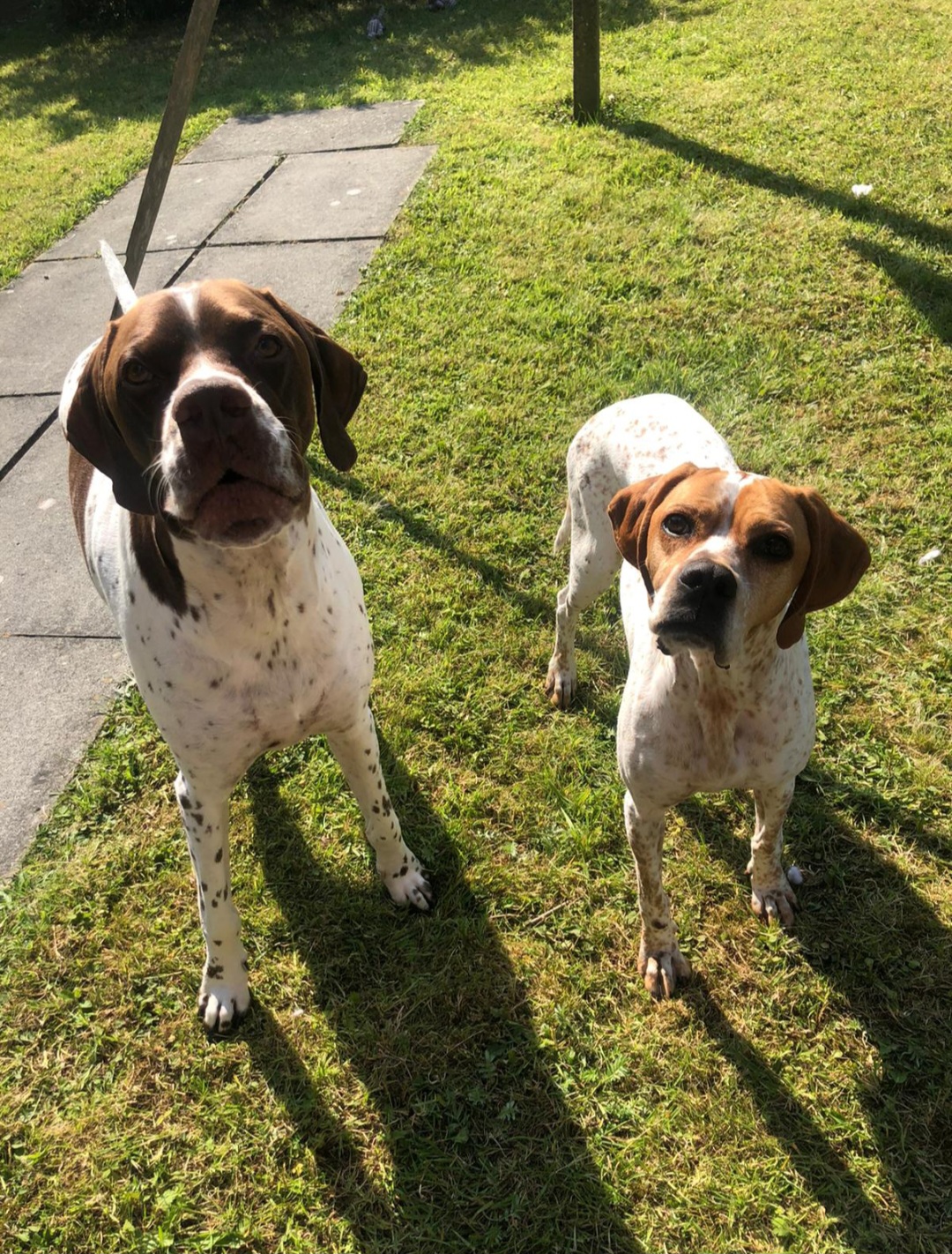 The Turkish beauty, Nazli, finds peace and a new lease of life after a long road to recovery ...