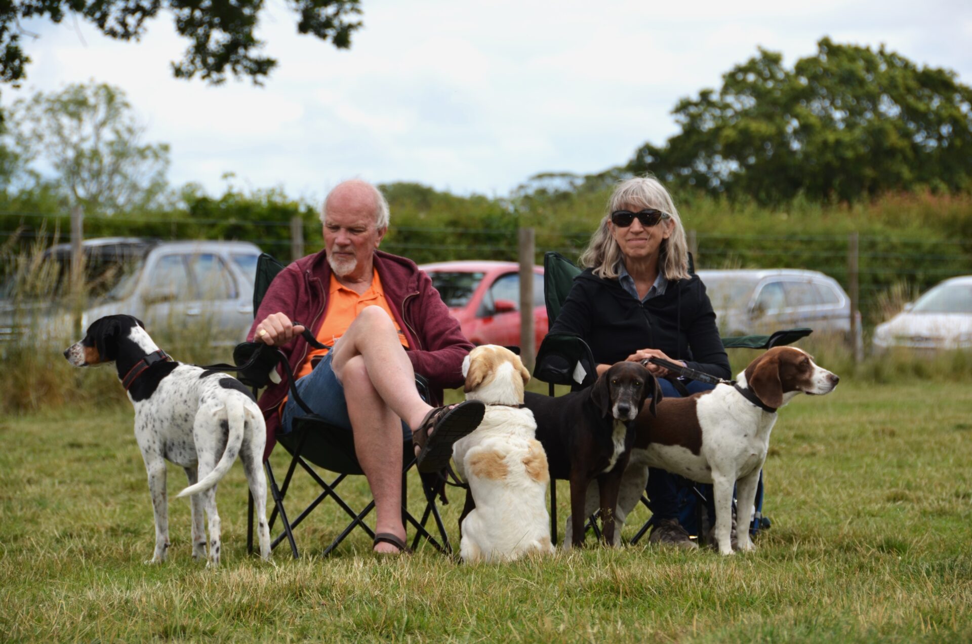 Fun Day 2023! - Pointers In Need (English Pointer Rescue & Rehoming)