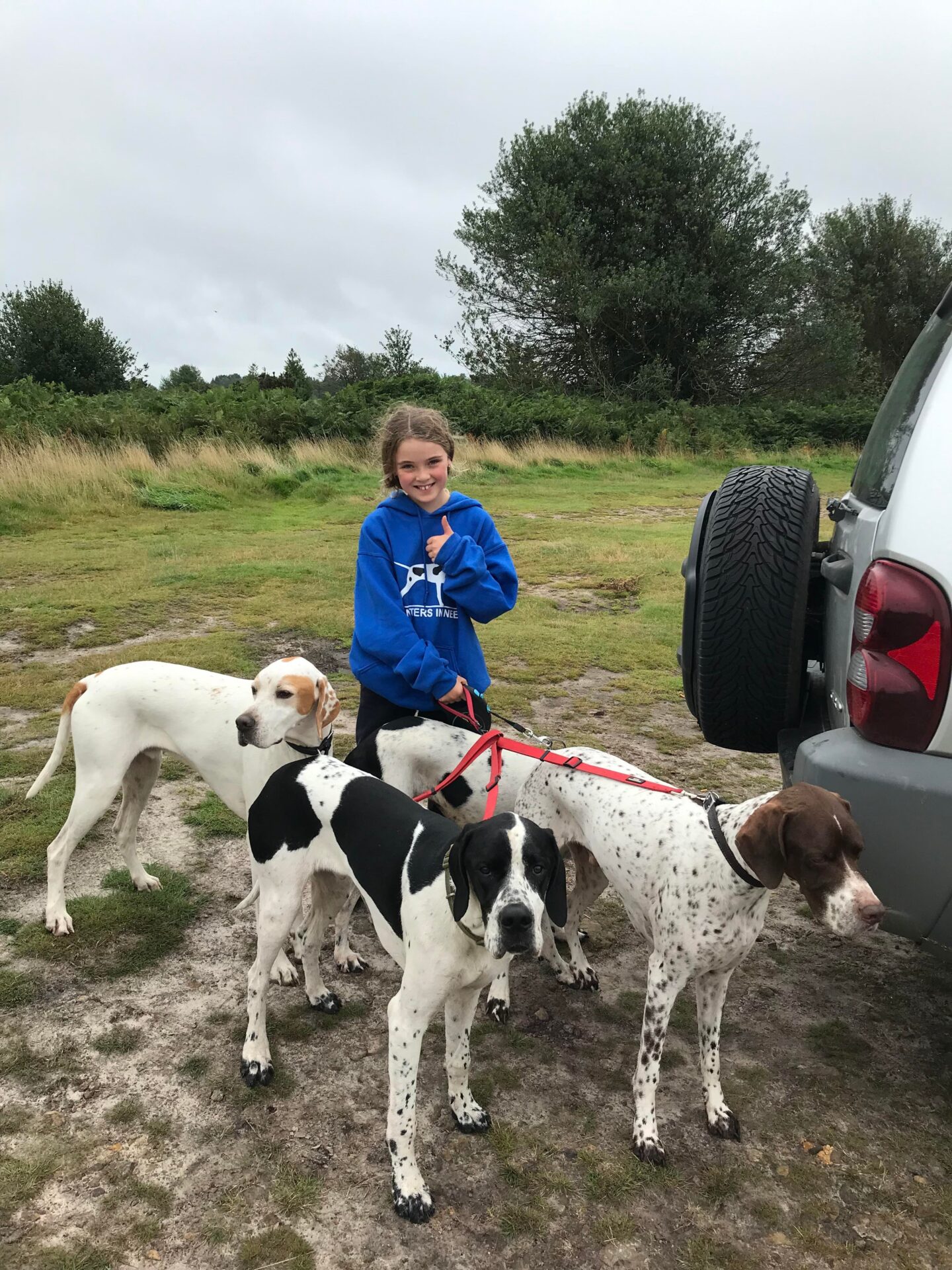 Amazing Annie’s fundraising walk for Pointers In Need - Pointers In ...