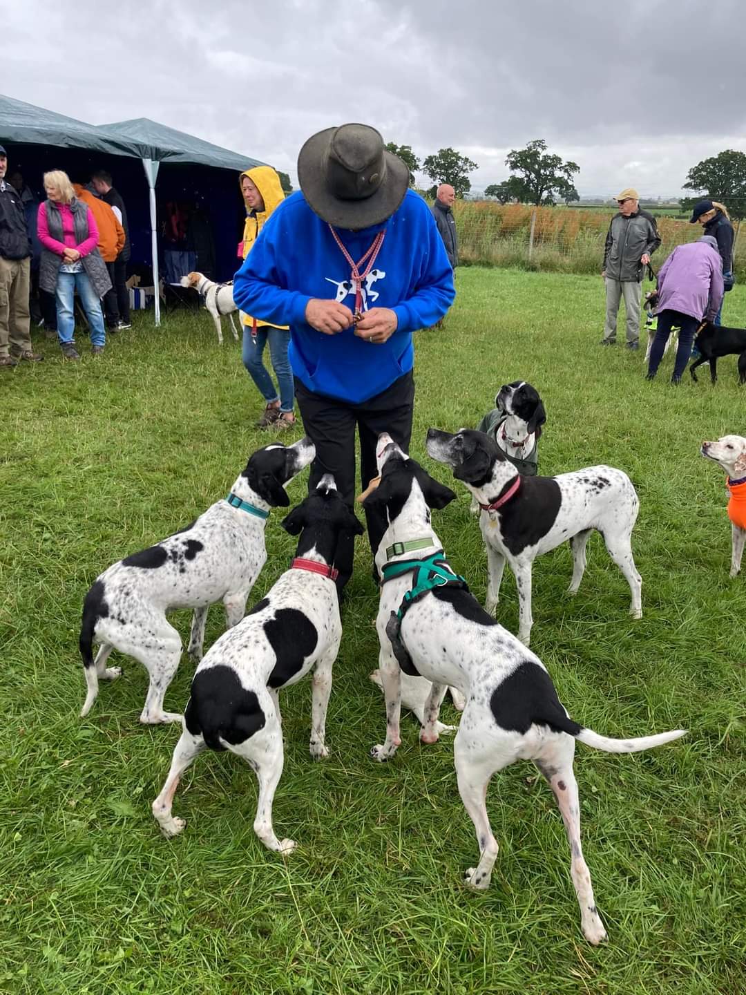 Funday 2024! - Pointers In Need (English Pointer Rescue & Rehoming)